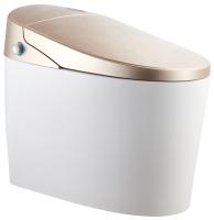 China Upgrade to a Modern Design Eco Smart Automatic Intelligent Toilet 4.8L Flushing Flowrate Easy DIY Installation for sale