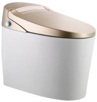 China Transform Your Office Building Bathroom with Floor Mounted Intelligent Automatic Toilet and Multi-Function Luxury Bidet for sale