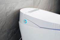 China One Piece Structure Heated Bidet Toilet with Integrated Multi-Function Luxury and Intelligent Automatic Design for sale