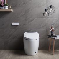 China One Piece Structure Heated Bidet Toilet with Integrated Multi-Function Luxury and Intelligent Automatic Design for sale