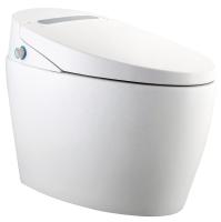 China One Piece Structure Heated Bidet Toilet with Integrated Multi-Function Luxury and Intelligent Automatic Design for sale