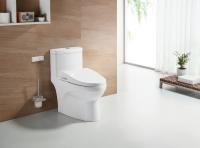 China Intelligent Toilet Seat Cover with Buffer Cover Plate and Remote Control Included for sale