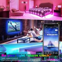 China 85-265V 2600lm/10m 5100lm/20m 10000lm Smart Wifi Remote Control Flexible Rgb Led Strip for sale