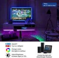 China Flexible LED Strip Lights Smart Remote Control RGB Light for Energy and Mood Lighting for sale