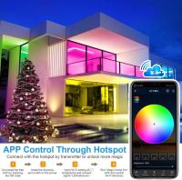 China Flexible LED Strip Lights Smart Remote Control RGB Light for Energy and Mood Lighting for sale