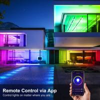 China Flexible LED Strip Lights Smart Remote Control RGB Light for Energy and Mood Lighting for sale