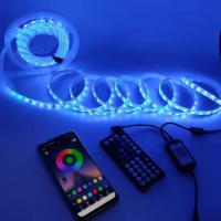 China 85-265V Input Voltage Intelligent Lighting LED Grow Light Strip 5 Meter for Camping for sale