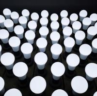 China 180/260 Beam Angle A19 12w Led Home Bulb with 2 and Project Installation Service for sale