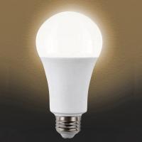 China 180/260 Beam Angle A19 12w Led Home Bulb with 2 and Project Installation Service for sale