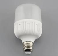 China 20w 40w High Power Led Bulb Light for Home Energy Saving Lighting Bulbs frequency 50-60Hz for sale