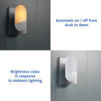 China US/UK/EU Plug Smart Indoor Night Light with Automatic Dusk to Dawn Sensor for sale