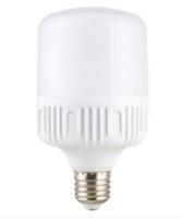 China 20w 40w High Power Led Bulb Light for Home Energy Saving Lighting Bulbs frequency 50-60Hz for sale