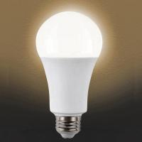 China 110lm/w Rechargeable Emergency Led Electric Lamp with Bluetooth Switch Mode 5w 7w 9w E27 for sale