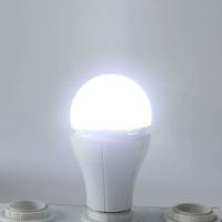 China 0.29kg LED Emergency Light Bulb 27 LED Bulb for Long-lasting and Bright Illumination for sale