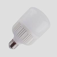 China Super Bright T100 Type T Shape LED Light Bulbs for Office and School 80 Ra 5000K Daylight for sale