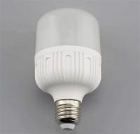 China Multi Size LED Light Bulbs High Brightness and Durable for Indoor 30000 Hours Lifespan for sale
