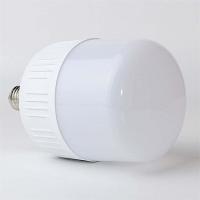 China Multi Size LED Light Bulbs High Brightness and Durable for Indoor 30000 Hours Lifespan for sale