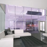 China 5 0.38 5 Purple Laminated Safety Glass for Balustrades Handrails in Building Construction for sale