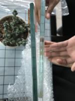China Industrial 3mm-19mm Ultra Clear Colored Tinted Tempered Glass for Shower Toughened Glass for sale