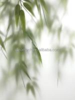 China Hospital Hall Partition Decoration Obscure Acid Etched Frosted Glass for Shower Door for sale