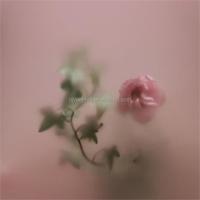 China Artistic Frosted Acid Etched Glass Panel for Bathroom Shower Enclosure Partition for sale