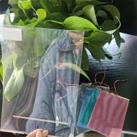 China Villa 6 6mm Switchable Magic Glass for Intelligent Liquid Crystal Privacy Glass Pdlc Film for sale