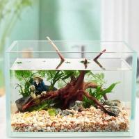 China Customizable Laminated Glass Fish Tank the Ultimate Decorative Choice for Dining for sale