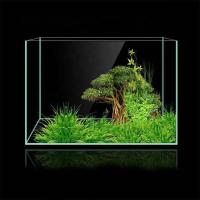 China Customizable Laminated Glass Fish Tank the Ultimate Decorative Choice for Dining for sale