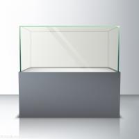 China Stainless Steel Glass Shelves Display Glass Kitchen Cabinets with Customized Logo for sale