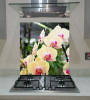 China Logo Customized Logo 6mm Ultra Clear Glass Kitchen Splashbacks with Digital Printing for sale