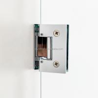 China Chrome Adjustable Hinged Single Frameless Shower Door for Bathroom Living Room SAMPLE for sale