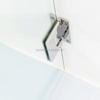 China Custom Single Frameless Hinged Tempered Glass Door for Elegant Bathroom Decoration for sale