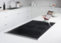 China 500*500 Black and Transparent Fireplace Glass Door for Infrared Electric Ceramic Cooker for sale