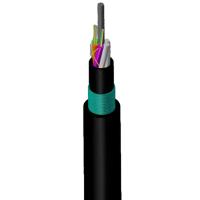 China 48 Core SM Armored Underground Fiber Optic Cable GYTY53 11mm 120kg/km for sale