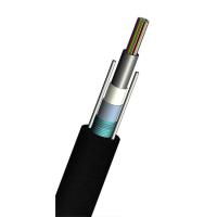 China GYXTW Loose Tube 12 Core Single Mode Fiber Optic Cable with Two Steel Wire Armor 8mm for sale