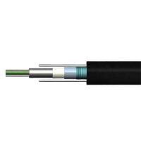 China GYXTW Loose Tube 12 Core Single Mode Fiber Optic Cable with Two Steel Wire Armor 8mm for sale