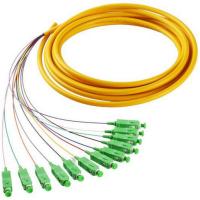 China 12 Core SC/APC Ribbon Fan Out Pigtail Fiber Optic Patch Cord 0.9mm for sale