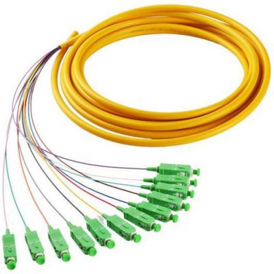 China 12 Core SC/APC Ribbon Fan Out Pigtail Fiber Optic Patch Cord 0.9mm for sale