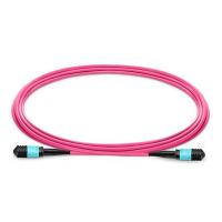 China 12 Core Male MPO Trunk Cable Multimode MTP Patch Cord 40G 100G for sale