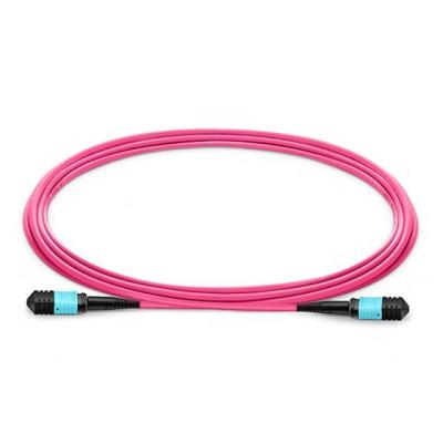 China 12 Core Male MPO Trunk Cable Multimode MTP Patch Cord 40G 100G for sale