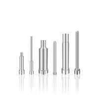 China Precise Punch Mold Components with ±0.001mm Accuracy for Stamping Work Featuring Combined Cavity and Polish Surface for sale