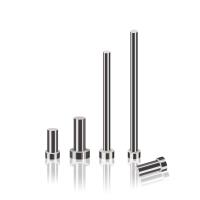China Precision Profile Grinding PG Punch Pins and Punch Die Components with Polish or Fine Grinding Surface for Cylindrical Grinding Technology for sale