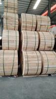 China Overhead Power Transmission And Distribution Lines Featuring All Aluminium Conductor AAC Type For Electrical Energy Delivery for sale