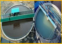 China 12-360 TPD Settler Equipment 12-60m Diameter Thickener for Mining for sale