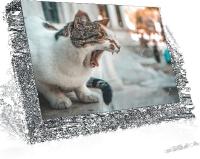 China 7 Inch Wifi Cloud LCD Display Digital Photo Frame for Video MP4 .....etc 1080p Decoding for sale