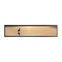 China 24 inch Indoor Stretched Bar LCD Supermarket Ultra Wide Shelf Screen for Retail Store for sale