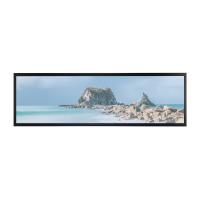 China Ethernet and Social Media Compatible 36 Inch Full HD Indoor Stretched Bar LCD Monitor for sale