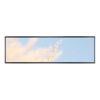 China 5120x1440 Stretched Bar LCD Monitor Screen Supermarket Advertising Display for sale