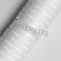 China 30 Inch Nylon N66 Membrane Pleated Water Filter Element Cartridge 0.1 Micron for sale