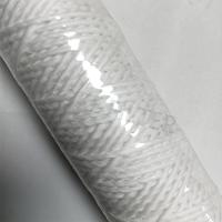 China ODM 10 Micron Water PP Filter Element Cartridge Wire Wound Type for sale
